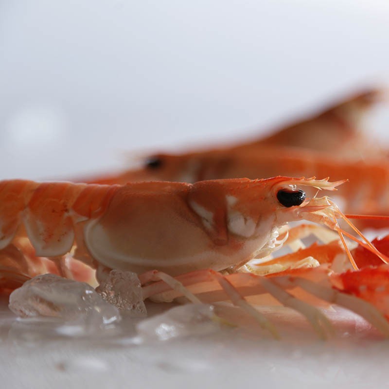 Lagostim Laranja Salada De Bacalhau E Laranja Baia Com Lagostim