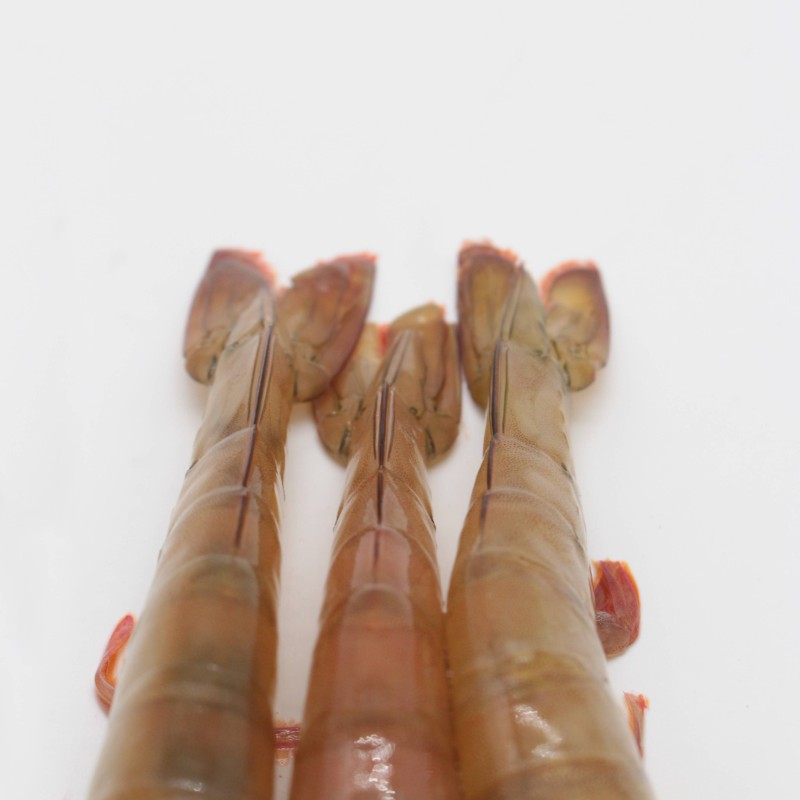 Buy King Prawns Online Mariskito