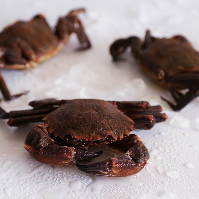 Comprar Nécora de la Ría Grande - marisco gallego a domicilio