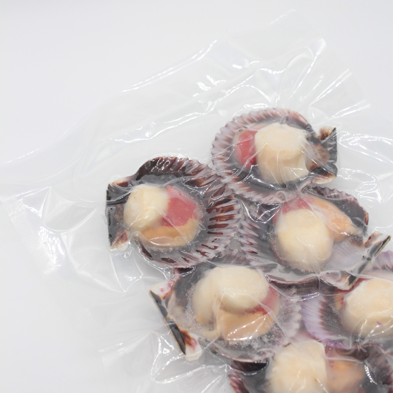 Buy Pacific Scallop | Mariskito