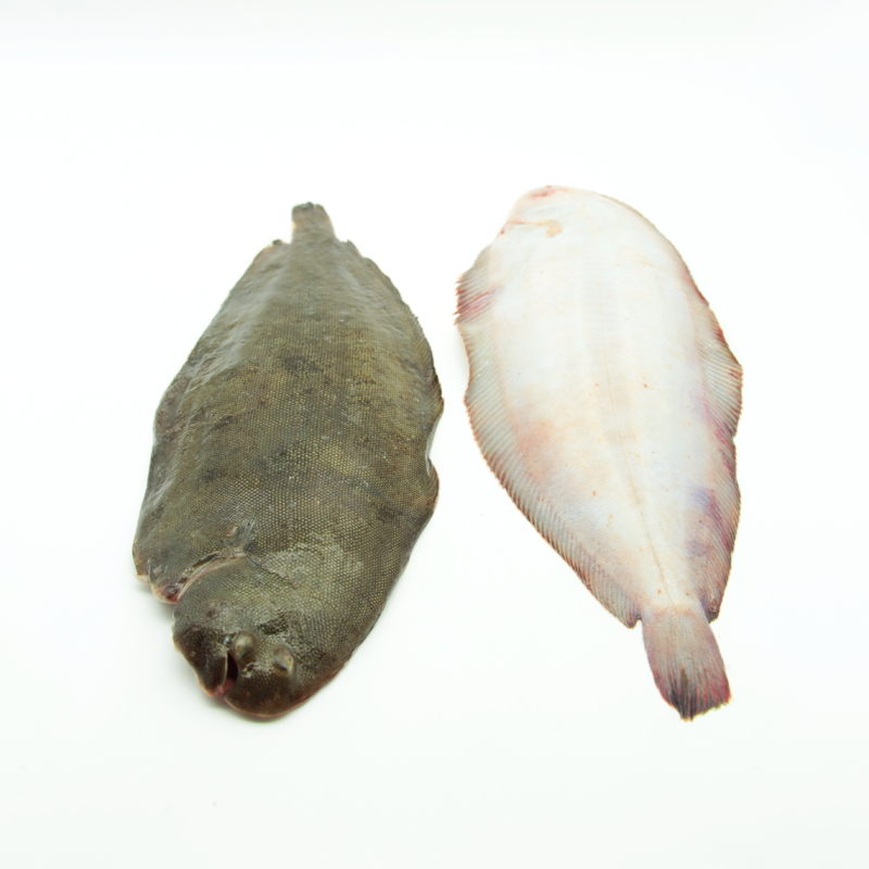 Comprar lenguado gallego fresco online | Mariskito