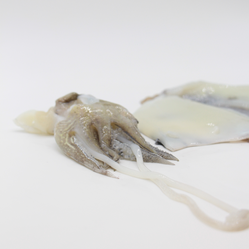Buy cuttlefish online from the Galician bays - Delivered fresh
