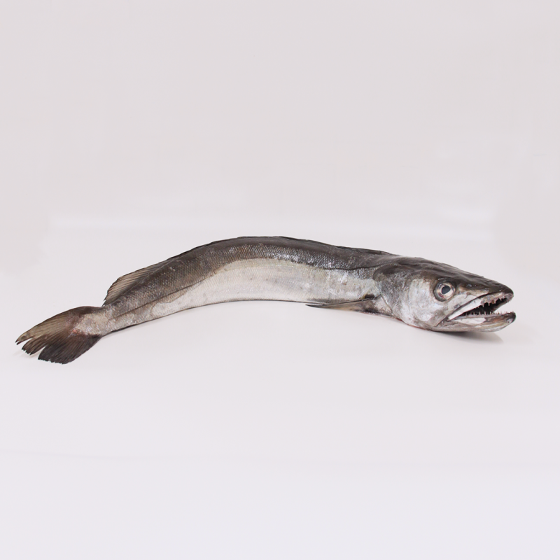 Buy Hook-fished hake 4/5 | mariskito