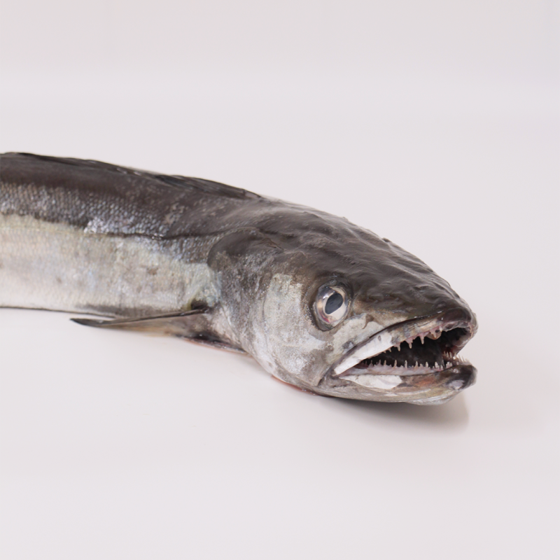 Compre Pescada (Palangre) mais de 3 Kg - Peixe fresco em casa