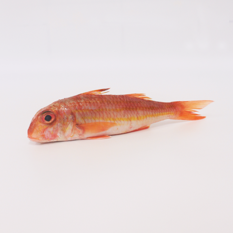 Buy fresh red mullet online - Fresh fish home delivery