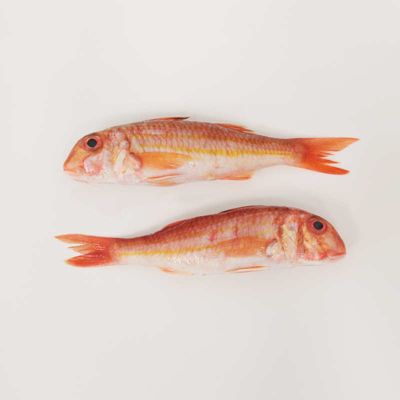Buy fresh red mullet online - Fresh fish home delivery