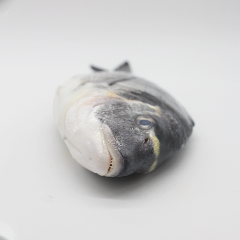 Buy farmed gilt-head bream (medium) - fresh fish delivery