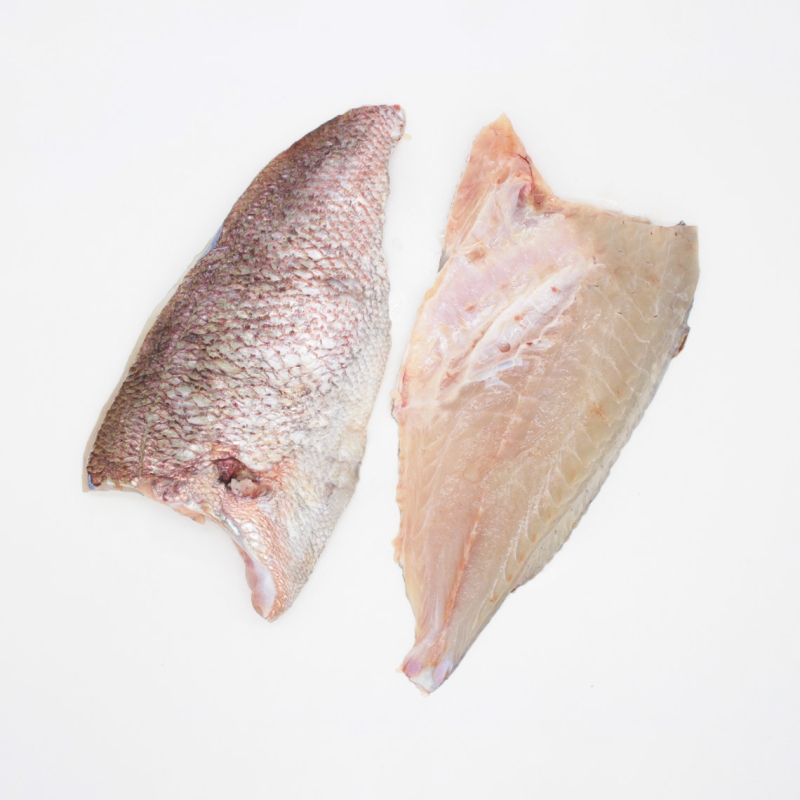 Comprar pargo, un pescado con sabor a marisco | mariskito