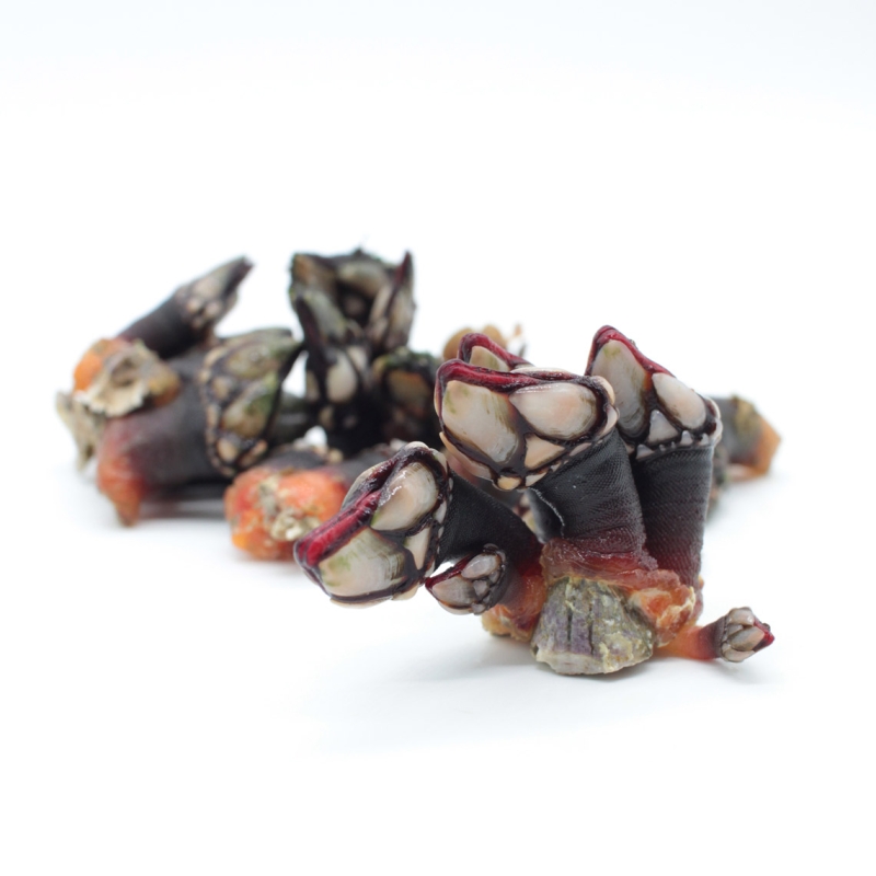 Comprar Percebe gallego online | Mariskito