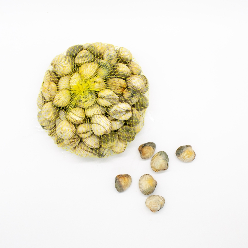 Buy fresh cockles online - Galician shellfish home delivery