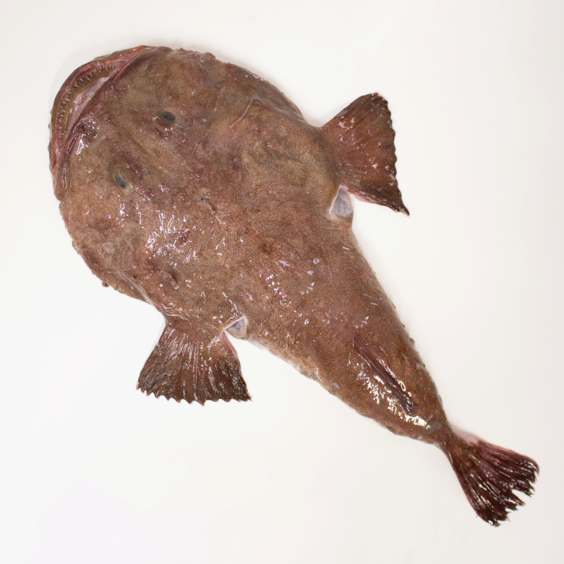 Buy fresh monkfish - Online fishmongers