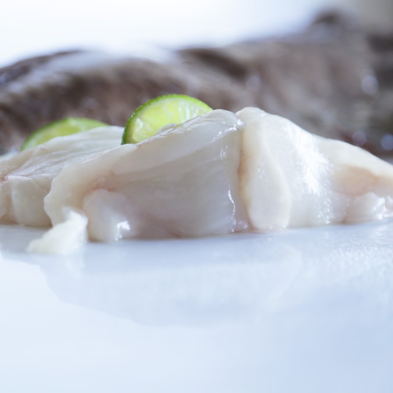Buy Black-bellied Monkfish Medium | mariskito