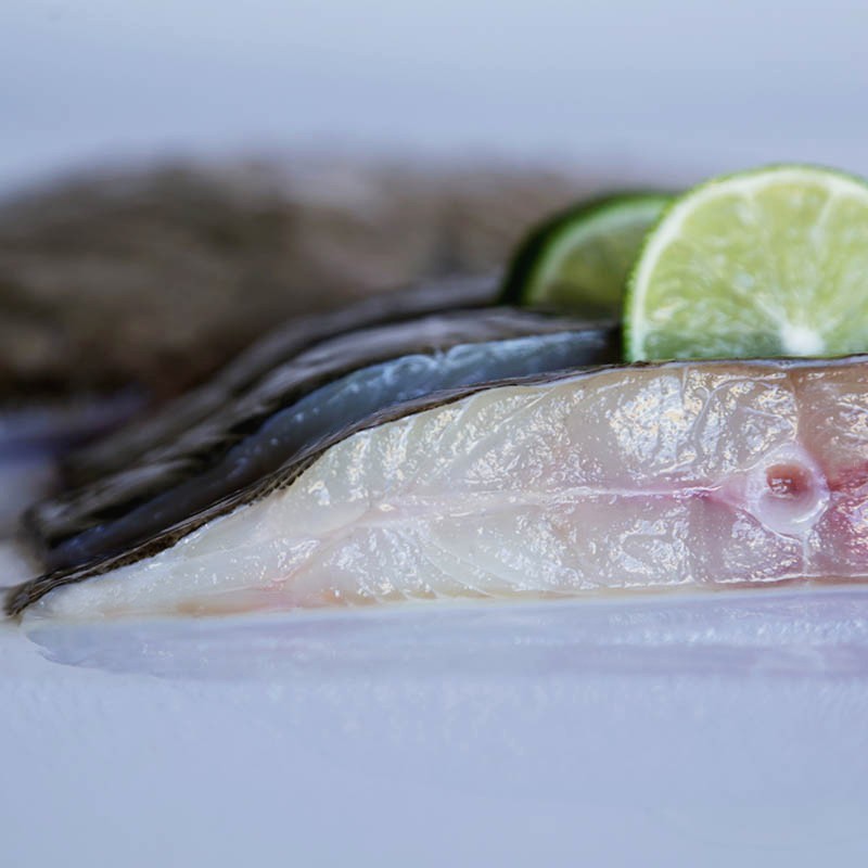 Comprar Rodaballo Salvaje mediano - pescado fresco a domicilio