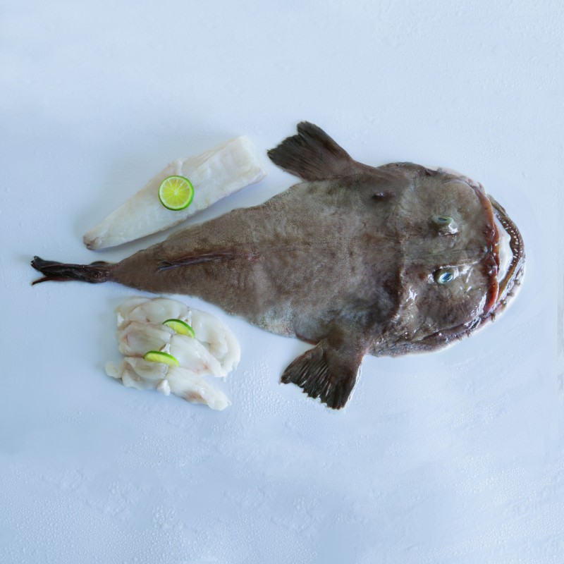 Buy fresh monkfish - Online fishmongers