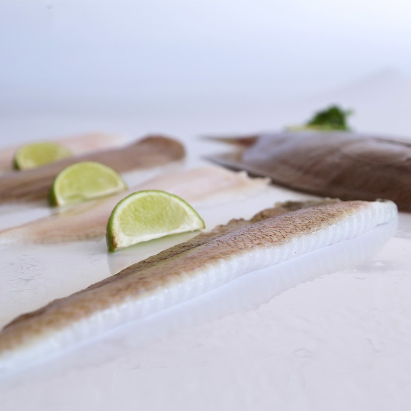 Buy Megrim sole online (large) - fresh fish delivery