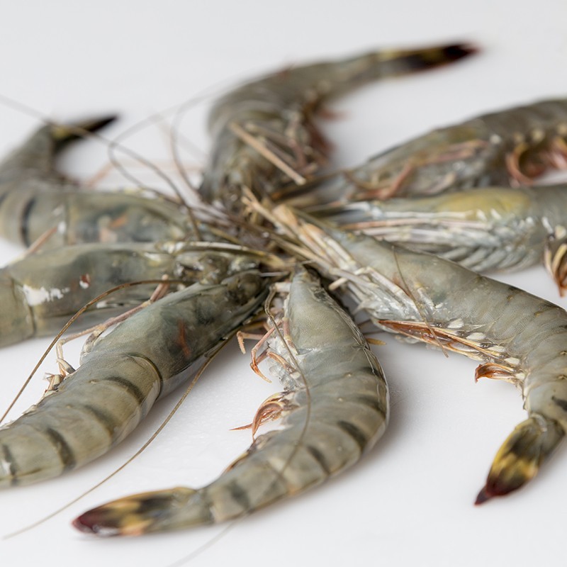 Buy Organic King Prawns online | Mariskito