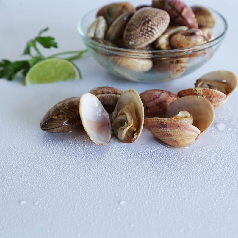 Comprar Almeja Rubia Gallega online | Mariskito