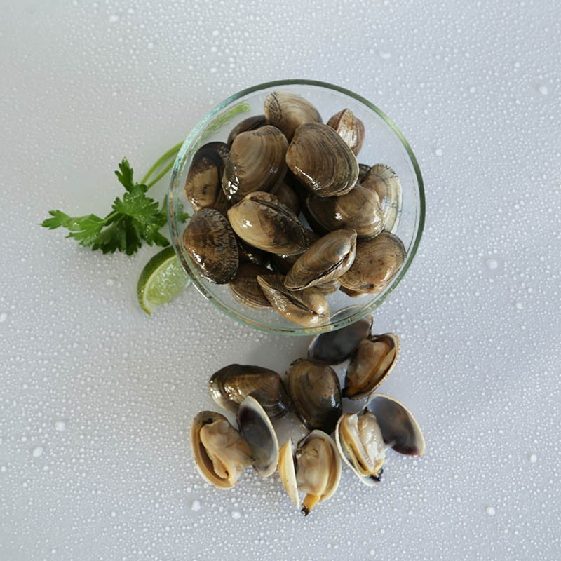 Buy fresh clams online - pullet carpet shell clams - home delivery