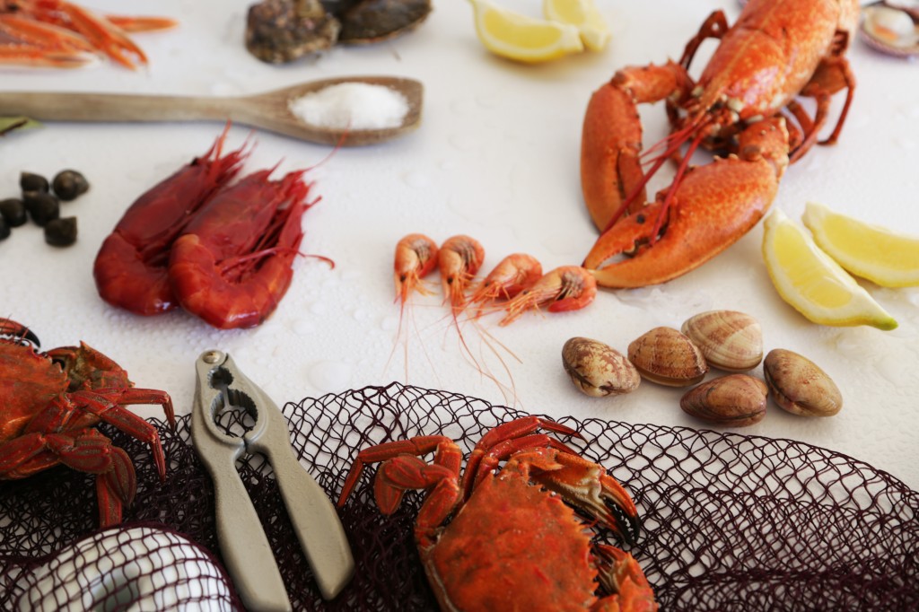 Congelar el marisco: una opción para las navidades - El Blog de Mariskito
